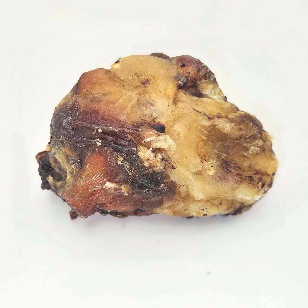 Cow Kneecap Bone