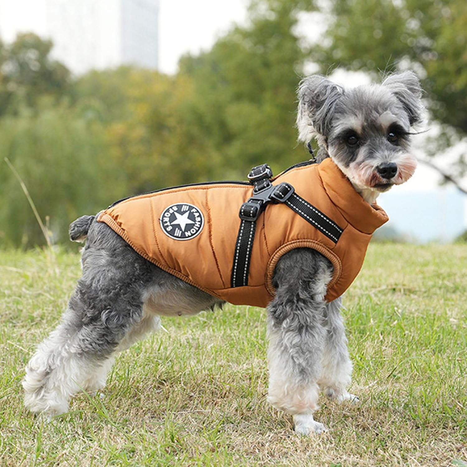 Dog Jacket